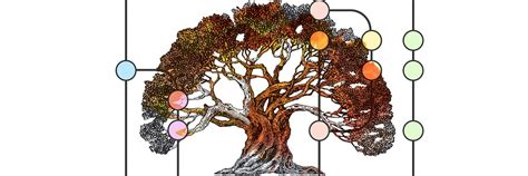 Git And Code Ocean Better Together By Code Ocean Code Ocean Medium