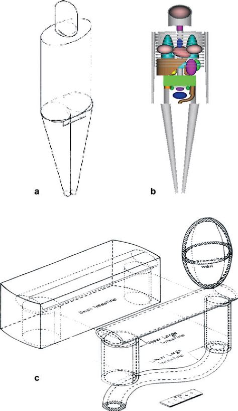 Figure 1 From Computational Anthropomorphic Models Of The Human Anatomy