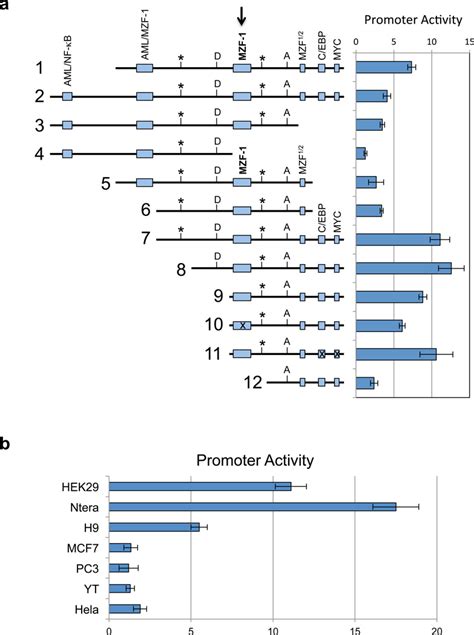 Identification Of A Kir Antisense Lncrna Expressed By Progenitor Cells
