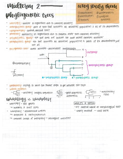 Midterm 2 Notes BIO 94 Studocu