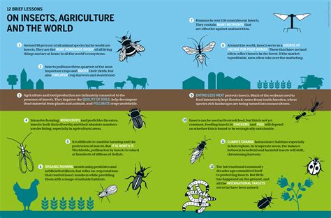 Beneficial Insects In Agriculture