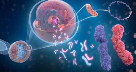 Indias Genomic Breakthrough Launch Of National Genome Data Sets And Ibdc Portals For Global