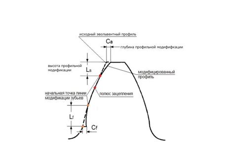 Tooth Profile Modification Download Scientific Diagram