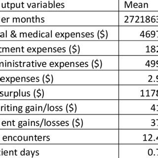Descriptive Statistics Of Input And Output Variables Of DEA Models
