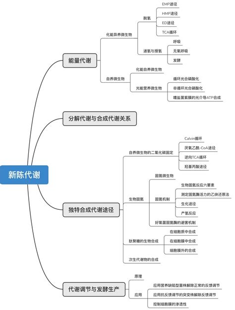 生物小课堂 No16：微生物学学习指南代谢