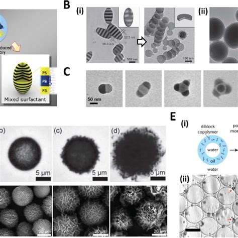 Solvent Evaporation And Diffusion Methods For The Shaping Of Download Scientific Diagram