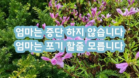 엄마는언제나 아이와 함께 합니다 Youtube