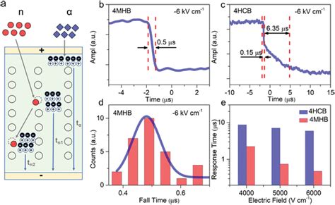 Direct Fast Neutron Detection Method And Results For Estimation Of Download Scientific Diagram