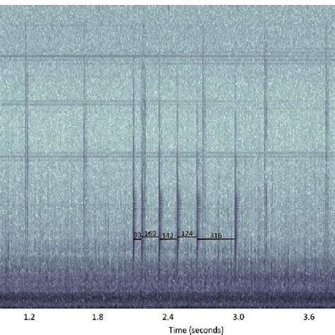 Spectrogram Of The 2fast31 Sperm Whale Coda Vocalisation With