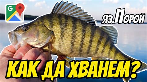 АКТИВНИ ЗИМНИ КОСТУРИ Язовир ПОРОЙ Youtube