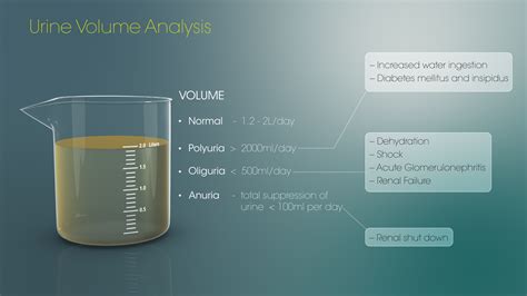 What Exactly Is Analysed In A Urine Analysis