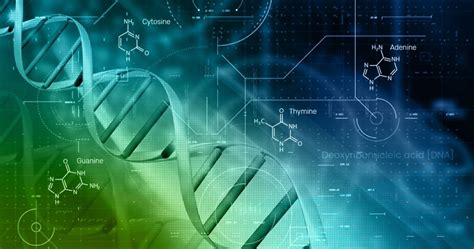 Cracking The Code Avisure