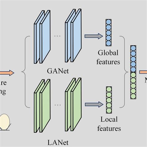 Flowchart Of The Proposed Approach A Ppg Signals Are Collected Through Download Scientific