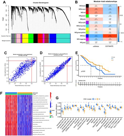 Ubiquitin Proteasome System Mediated Ubiquitination Modification