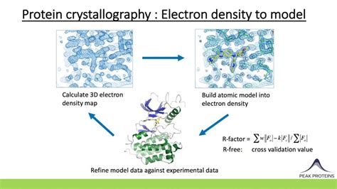 Protein Crystal Structure
