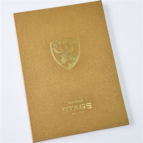 세로형골드메탈레자 Sc001344 샘플 상장케이스