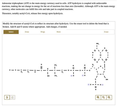Solved Adenosine Triphosphate Atp Is The Main Energy Currency Used In Cells Atp Hydrolysis