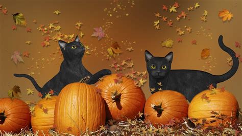 Halloween Anime Cats Wallpapers Wallpaper Cave