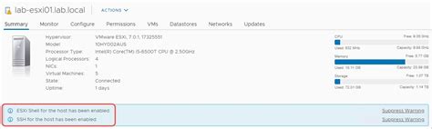 Vmware Warning Ssh Or Esxi Shell For The Host Has Been Enabled Labcrasher