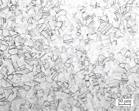 Om Microstructure Of A A106b And B 304l Ss Download Scientific