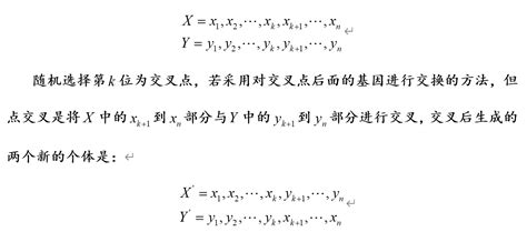 【智能算法】遗传算法原理及示例遗传算法二进制编码实例 Csdn博客