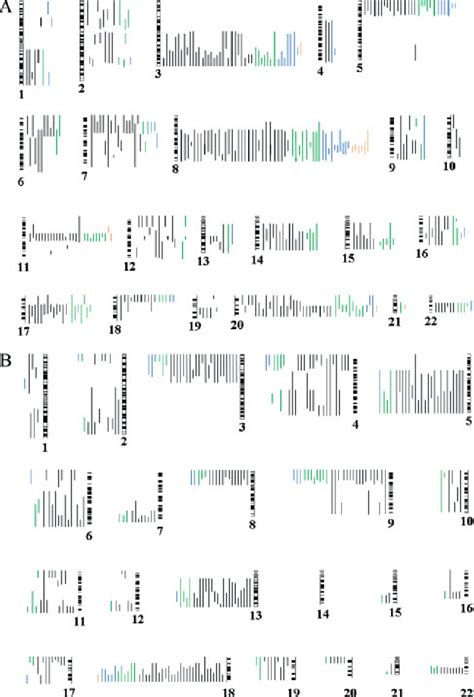 Figure 2 From Comparative Genomic Hybridization Reveals Genetic Progression Of Oral Squamous