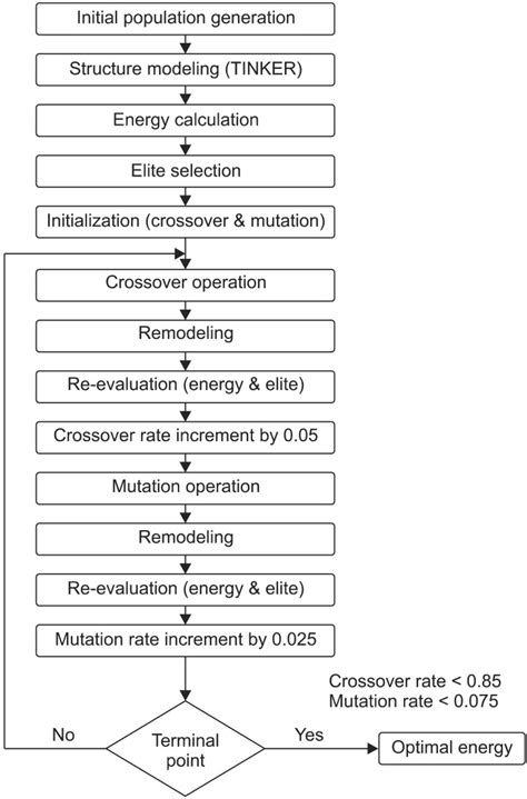 flowchart for self organizing genetic algorithm for protein structure