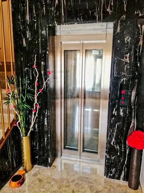 Johnson Elevator Lift 2 Persons At ₹ 749000 In Lucknow Id 2856794405973
