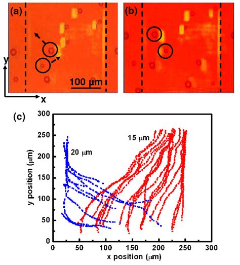 8 Automated Particle Sorting A B Continuous Sorting Of 15 And