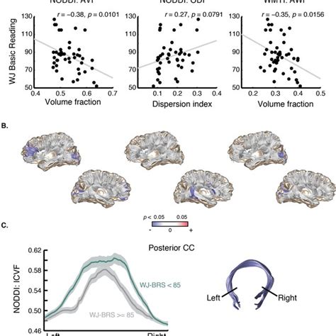 Indices Of Tissue Density In The Posterior Callosal Connections