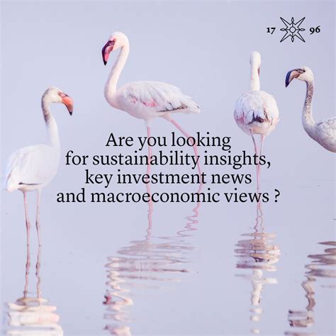 Arianna Sofia Staderini On Linkedin Newsletter