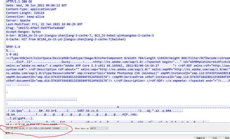 利用wireshark将pcap还原pdf文件wireshark抓pdf文件 Csdn博客 利用wireshark将pcap还原pdf文件wireshark抓pdf文件 Csdn博客