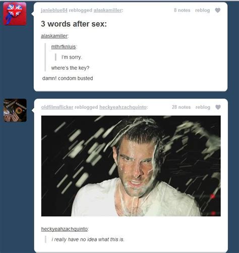 Dashboard Coincidences Were You Having Sex With A Whale Ack Submitted