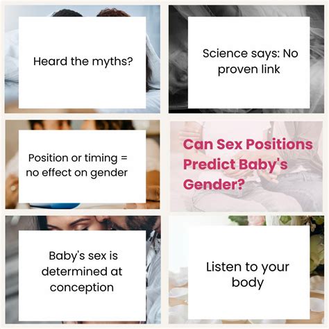 Sex Positions And Gender Prediction What Science Really Says House Of Zelena™