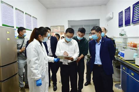 黄家新开展食品安全“两个责任”督导和安全生产检查 阳西县人民政府网站