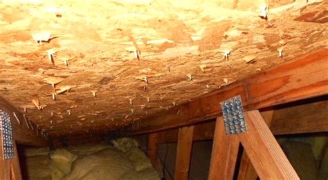 What Is The Difference Between Plywood And OSB