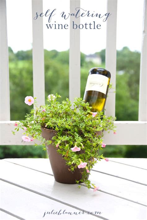 Formidable Watering Plants While On Vacation Plastic Bottle Best