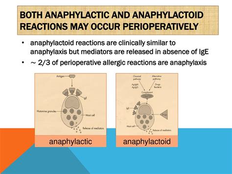 Ppt Perioperative Anaphylaxis A Brief Review Powerpoint Presentation Id 3377190