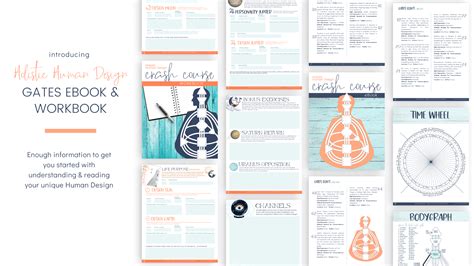 Human Design Crash Course Holistic Human Design