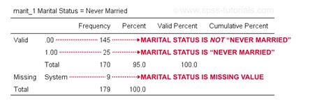 Creating Dummy Variables In Spss 2 Easy Options