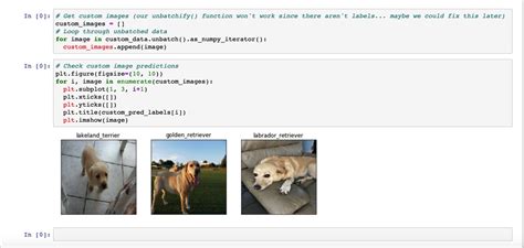Github Tanyarajhansdogbreedimageclassifier Dog Breed Image
