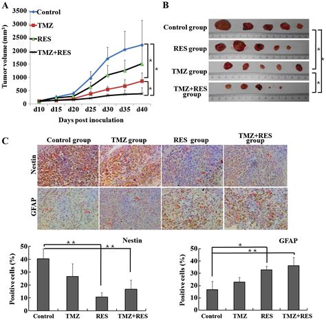 Resveratrol Sensitizes Glioblastoma Initiating Cells To Temozolomide By