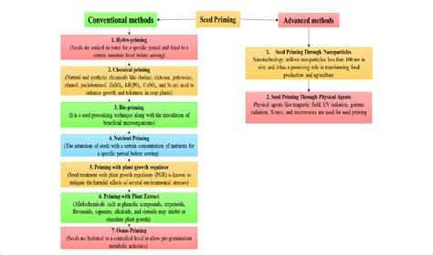 Schematic Diagram Of Different Seed Priming Methods Download