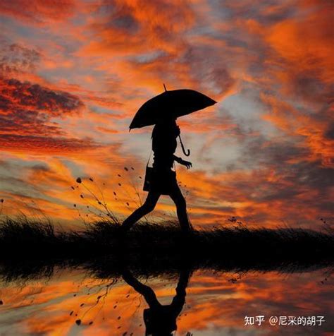 今日十五句毒辣的话早晚服用神清气爽 知乎