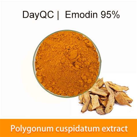 Polygonum Cuspidatum Extract Emodin 95 High Quality Polygonum Cuspidatum Extract Emodin 95 On