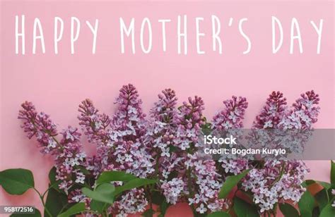 해피 어머니의 날 텍스트 인사말 카드입니다 아름 다운 라일락 퍼플 꽃 분홍색 배경 평면에 텍스트 위한 공간을 놓으십시오 현대적인 이미지입니다 최고의 볼 수 있습니다 세련 된