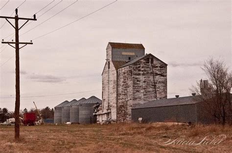 Elevation Of Halliday Nd Usa Topographic Map Altitude Map