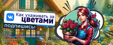 Как ухаживать за цветами Приветствуем Вас в нашей группе про цветы 2025 ВКонтакте