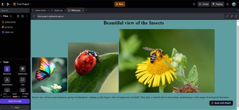 Im Glad To Share The First Task In My Web Development Intern🎉 Task To Create A Page Consists