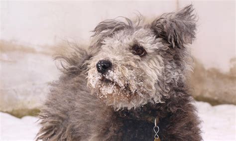 Our Journey To Finding Reliable Methods For Microbiome Profiling Research Communities By